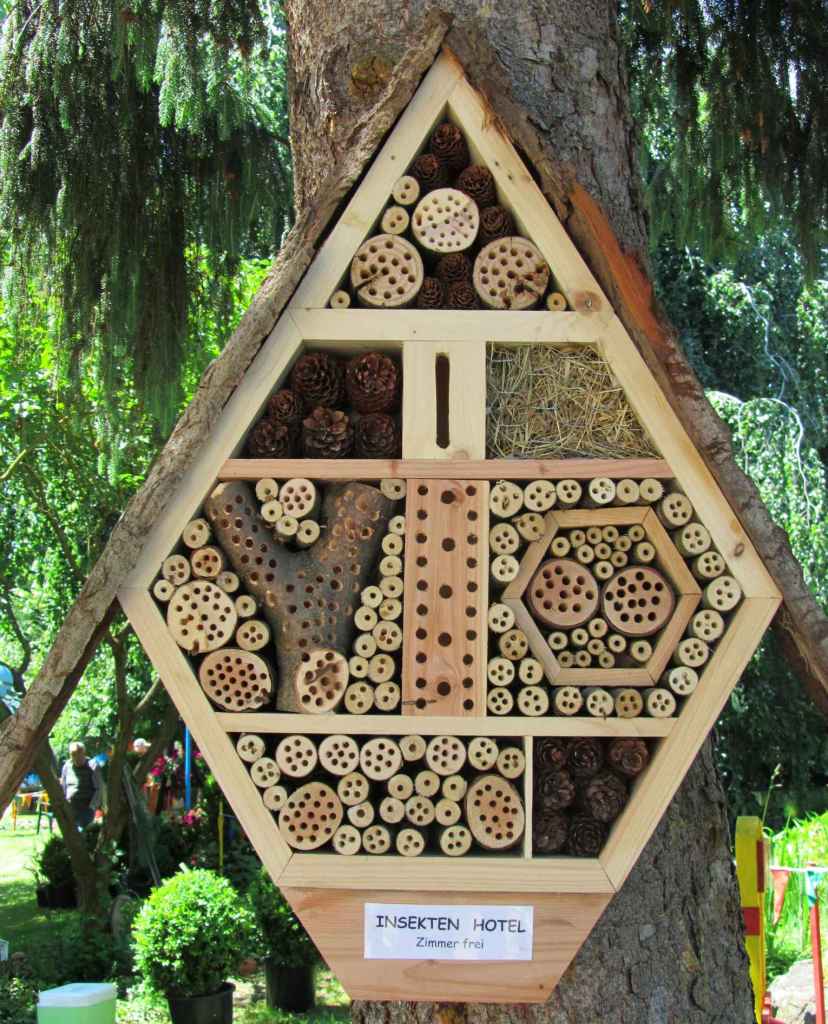 Creating a Native Bee Home – EARTHeim Landscape Design in Lexington ...