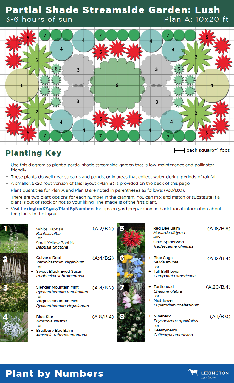 EARTHeim News: ‘Plant By Numbers’ Project for Lexington and ‘Paint By ...