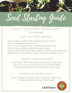Starting Seeds Indoors: What should you start and when – EARTHeim ...