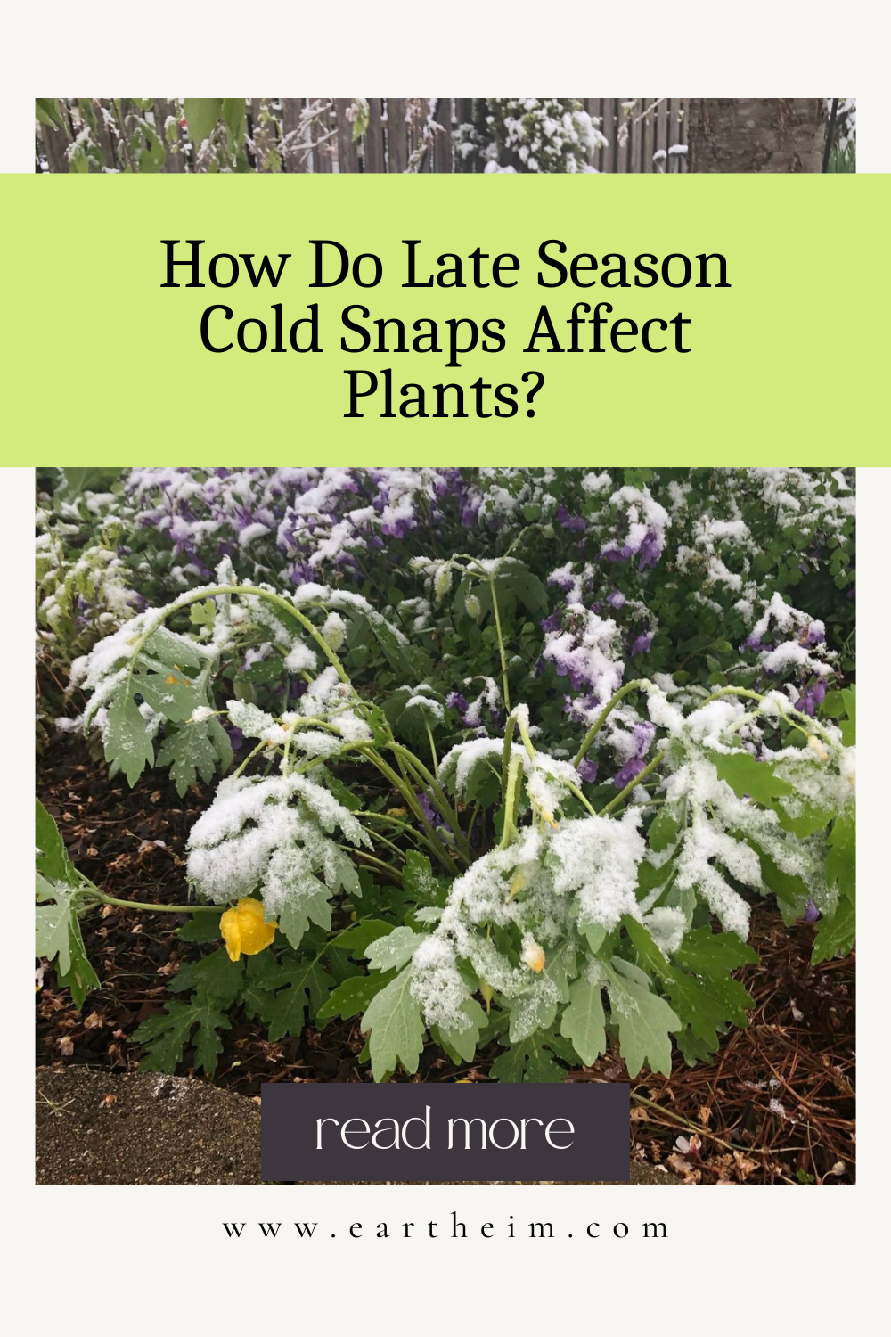 Late Seasonal Cold Snaps and their Effects on Plants – EARTHeim ...